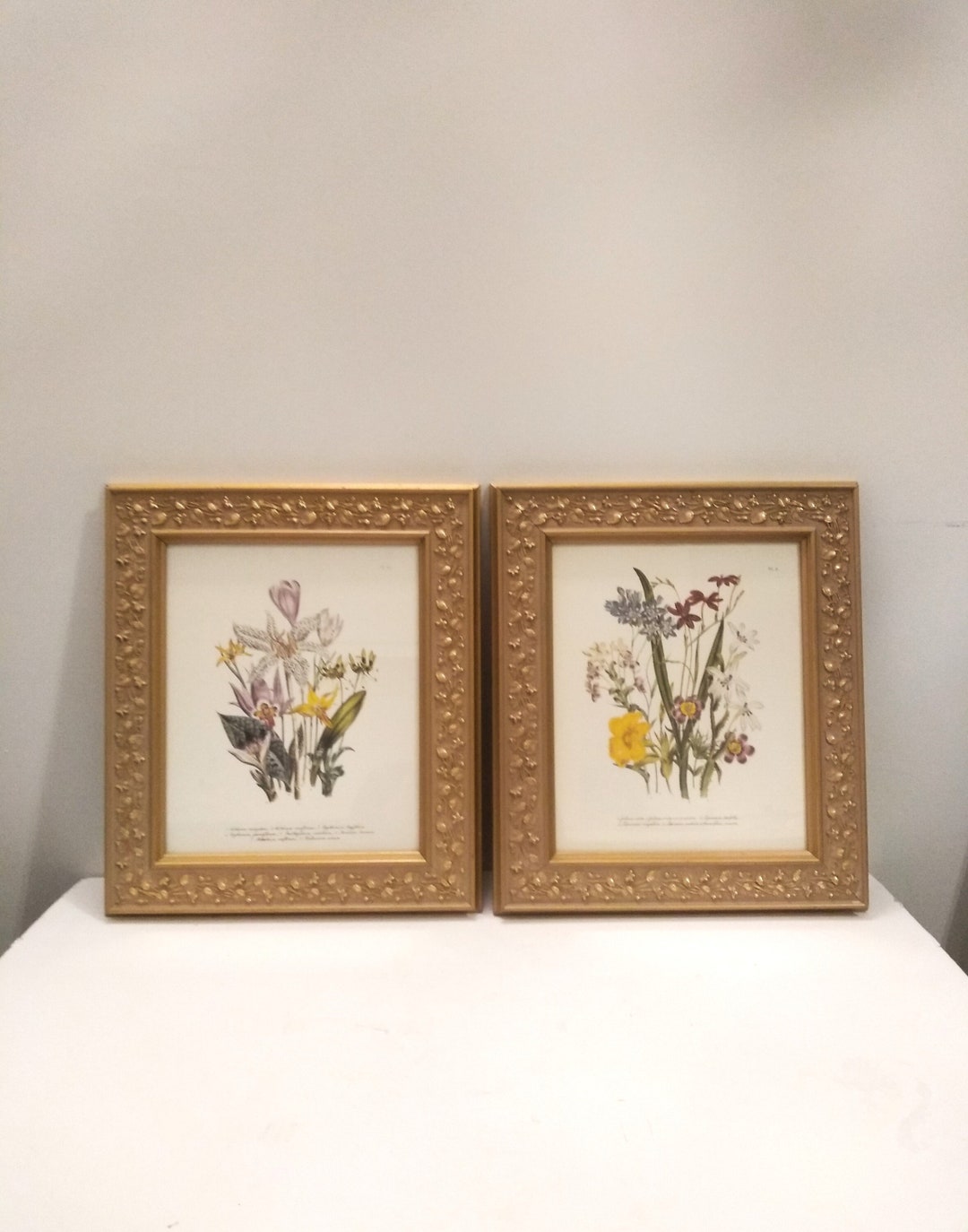 15" Vintage Framed Botanical Prints | Framed Botanical Prints | Wooden ...