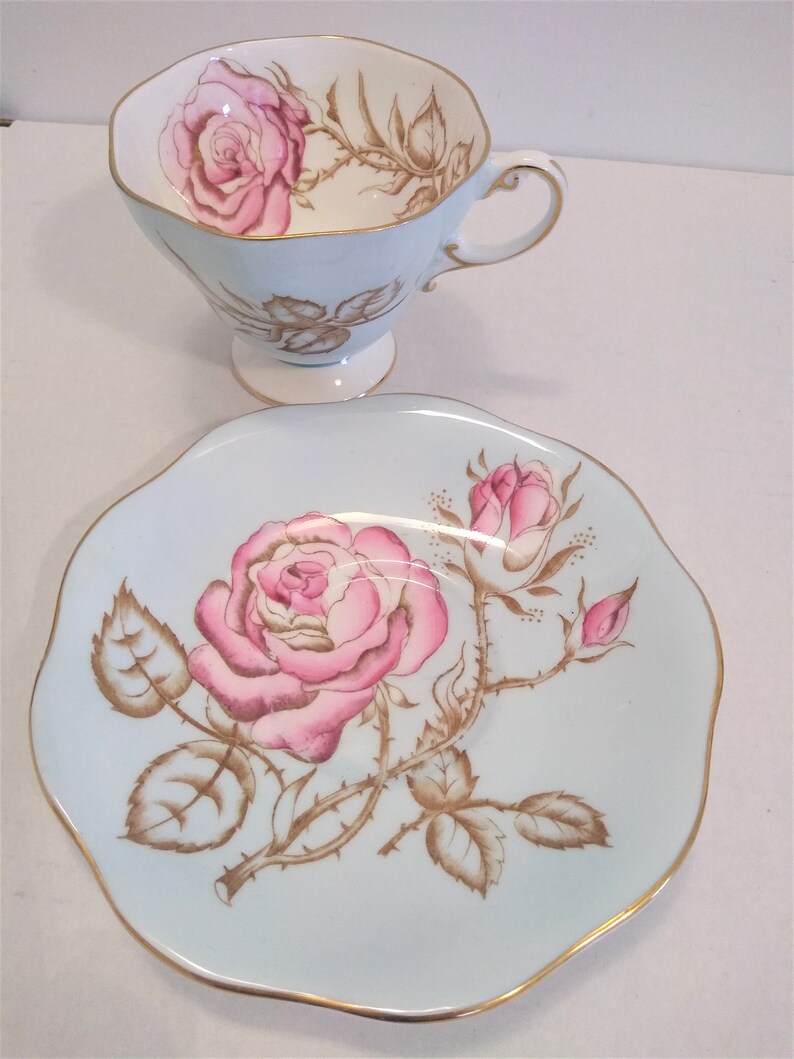 Antique Foley Bone China Cup and Saucer 1850 Foley Bone - Etsy Canada