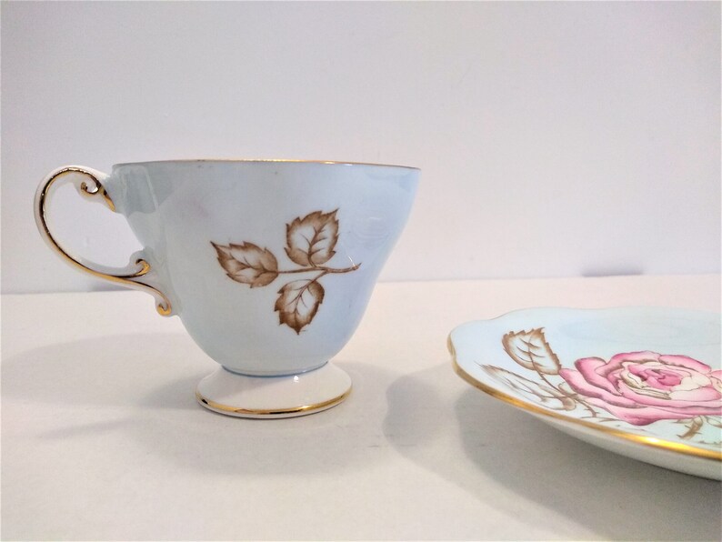 Antique Foley Bone China Cup and Saucer 1850 Foley Bone - Etsy Canada