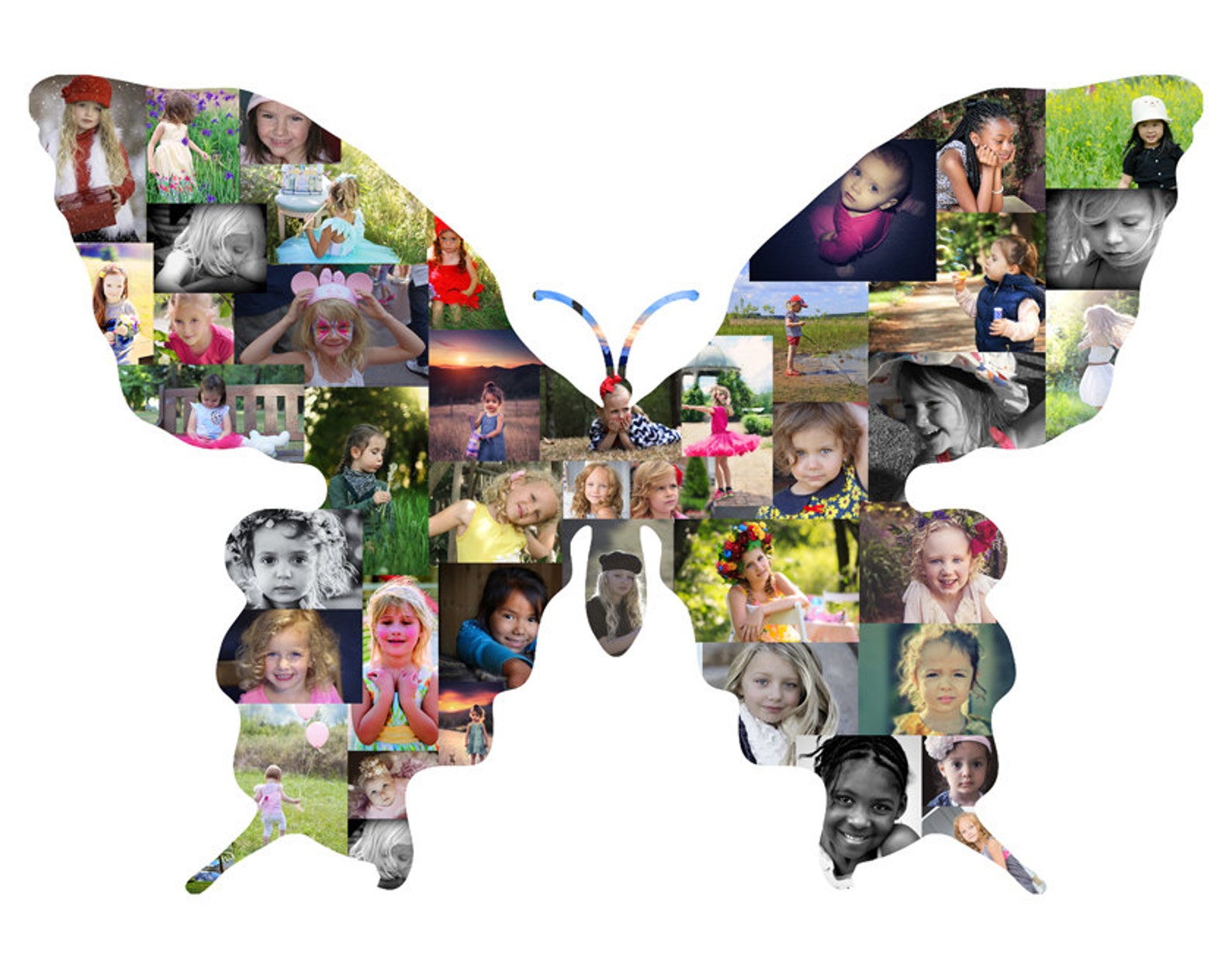 Butterfly Photo Collage Butterfly Shape Collage Butterfly Art Butterfly ...