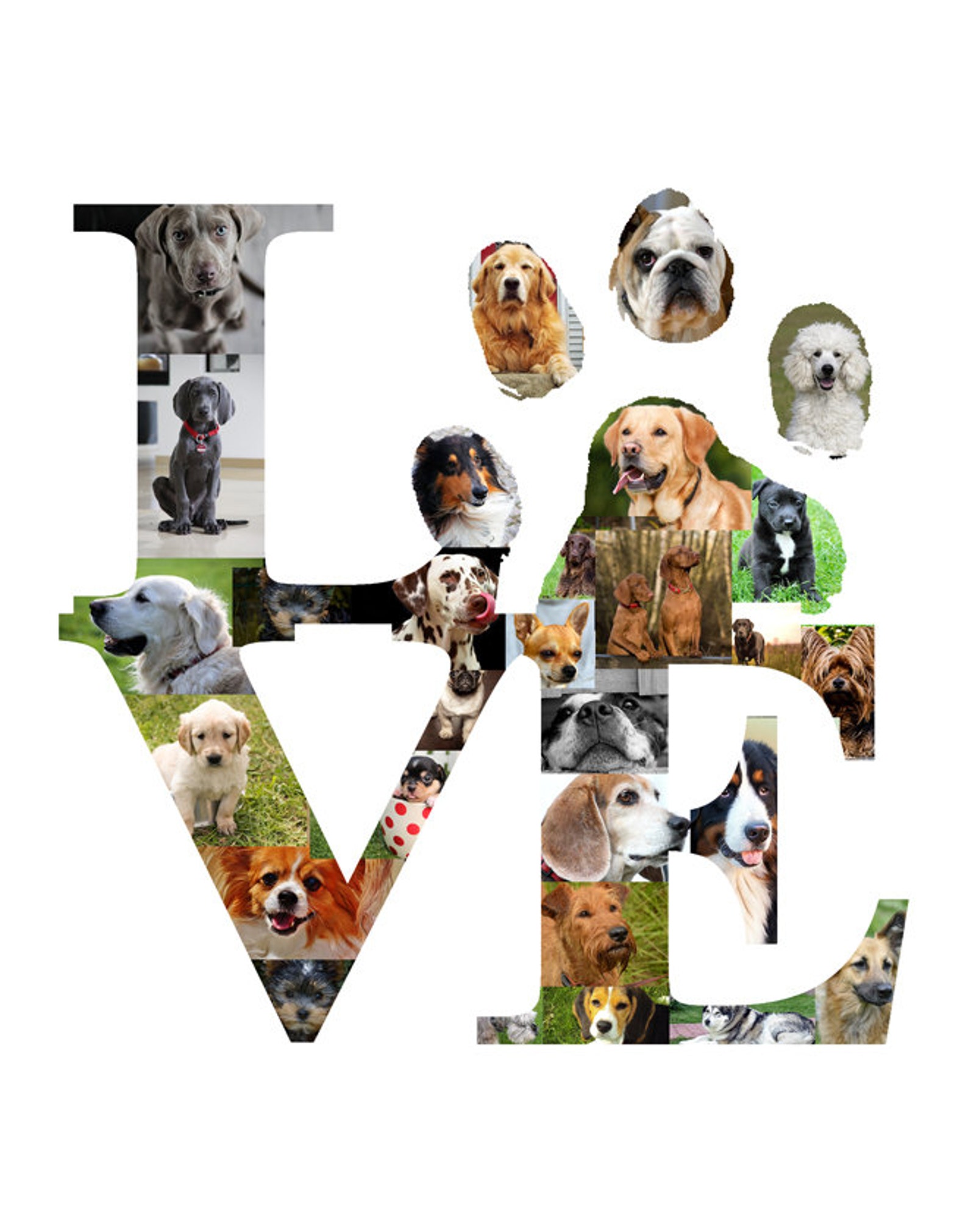Dog Photo Collage Dog Art Print Dog Artwork Dog Lover - Etsy