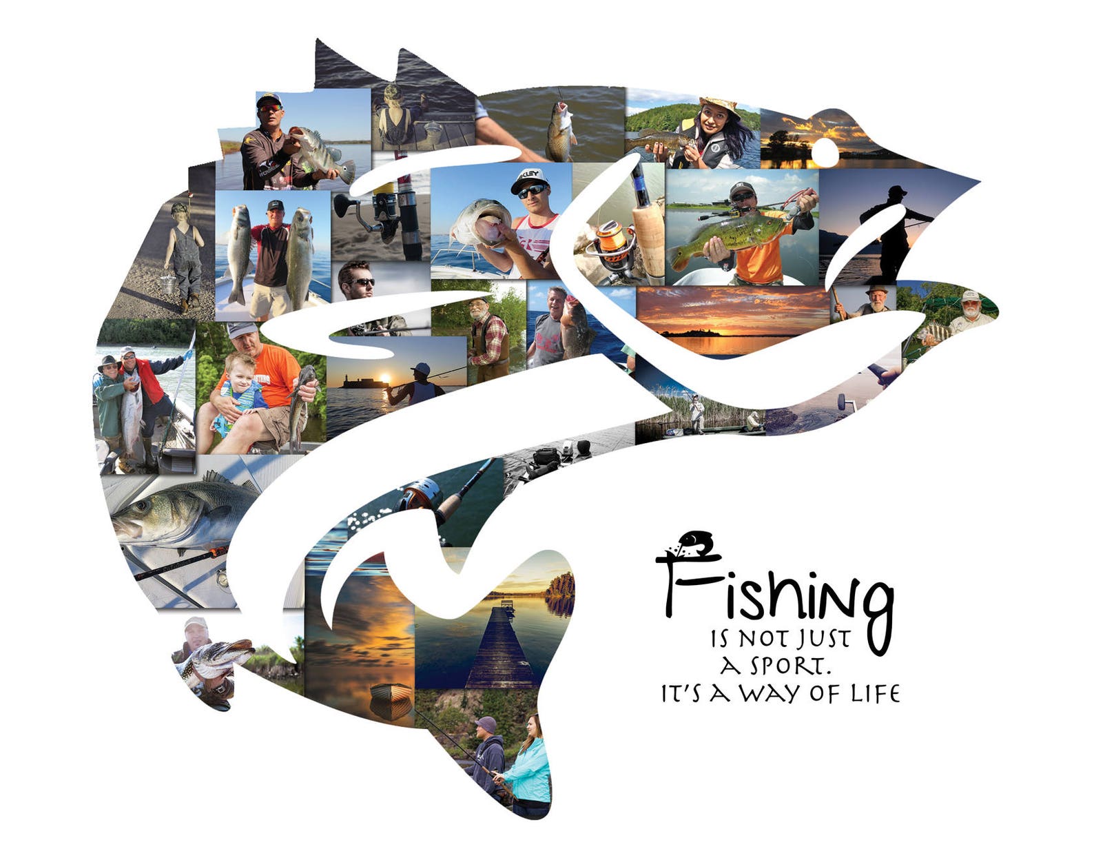 Bass Fish Photo Collage Bass Fishing Bass Fish SVG Bass - Etsy