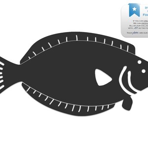 Flounder Fish Photo Collage | Flounder Fishing | Flounder Fishing SVG ...