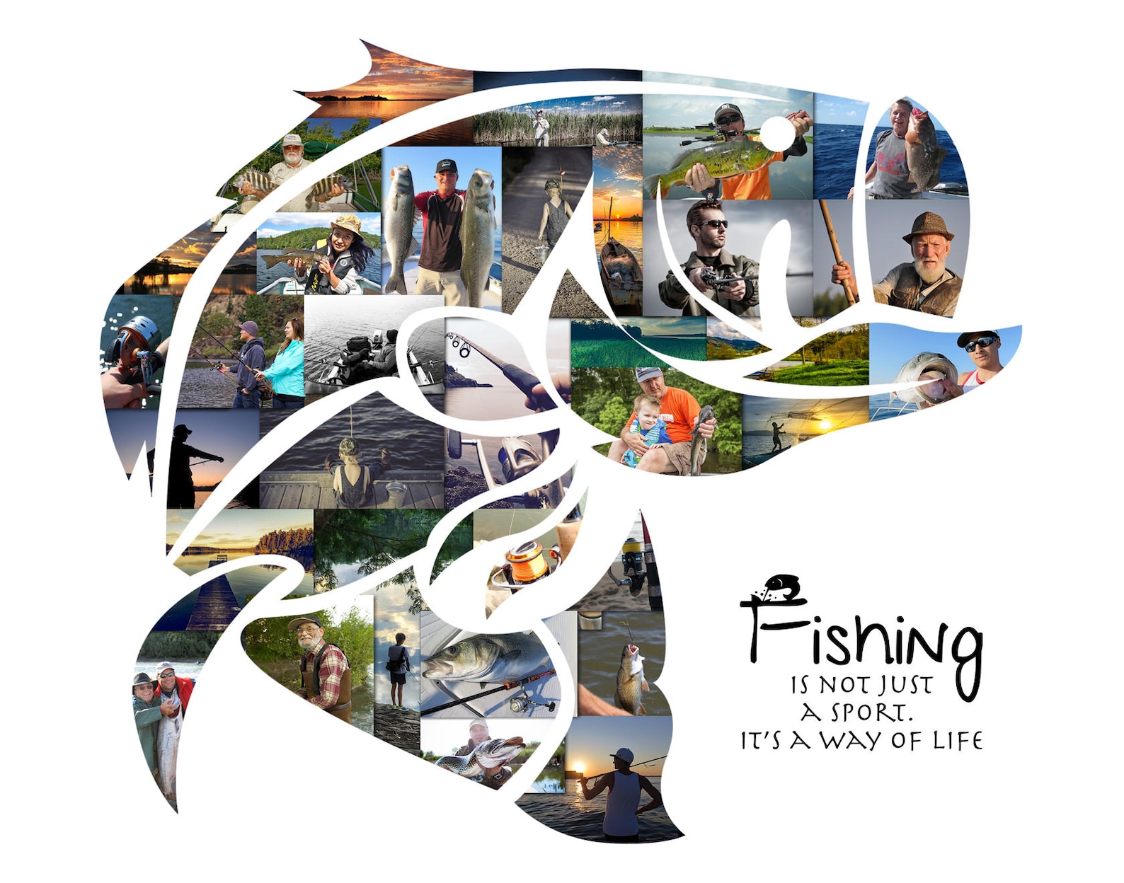 Bass Fish Photo Collage Bass Fishing Bass Fish SVG Bass - Etsy