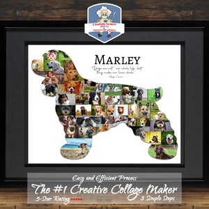 Cocker Spaniel Photo Collage | Cocker Spaniel Gifts | Cocker Spaniel ...