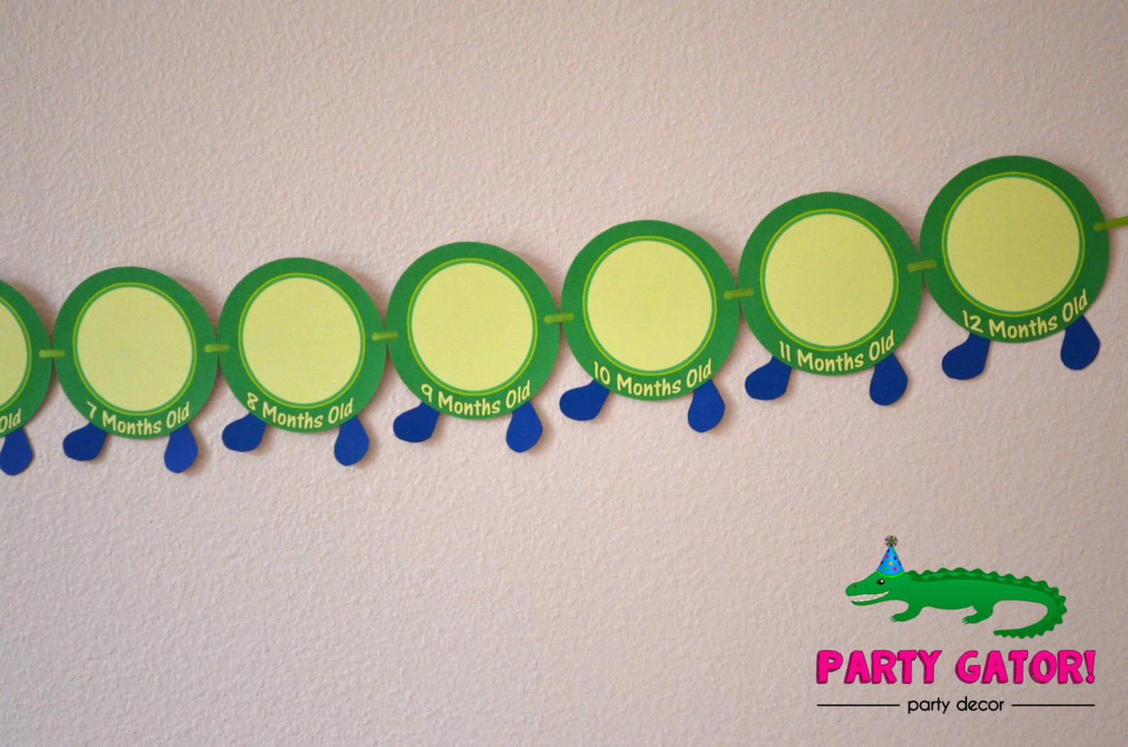 Caterpillar First Year Photo Banner / 12 Month Banner / First Birthday ...