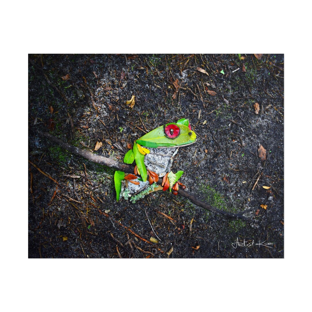 Red-eyed Tree Frog Poster, Wall Art Decor, Nature Themed, Botanical ...