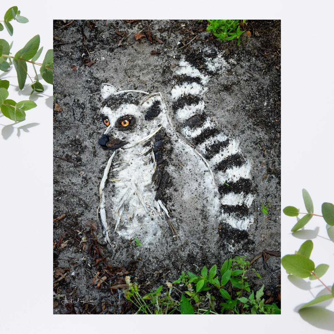 Ring-tailed Lemur Art Print – Matte Poster, Animal Wall Art, Nature ...