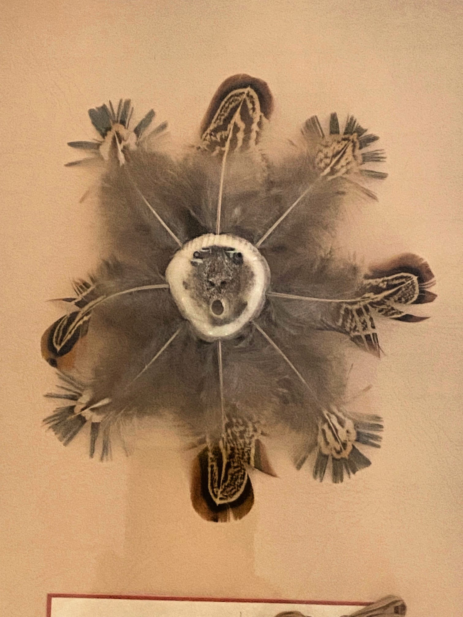 Alaska Eskimo (inuit) Spirit Mask Framed Vintage - Etsy