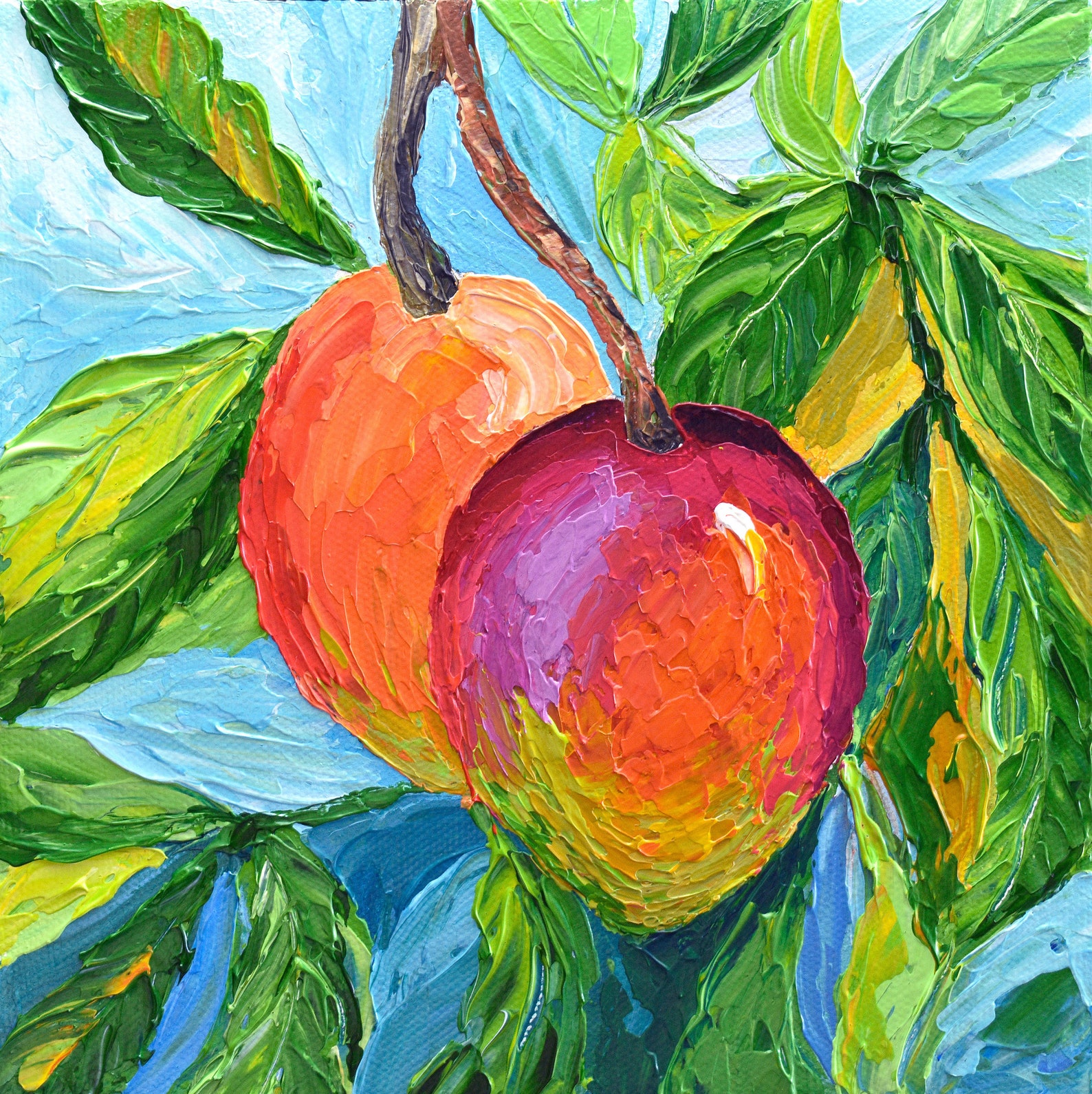 Mango Fruit Décor Kitchen Wall Art Print Botanical Giclée - Etsy