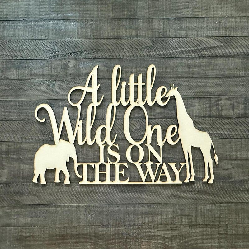 Wild One Backdrop - Etsy