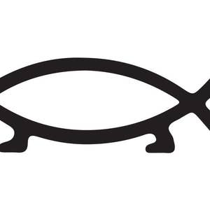 Darwin Fish Decal. Charles Darwin. Evolution. - Etsy