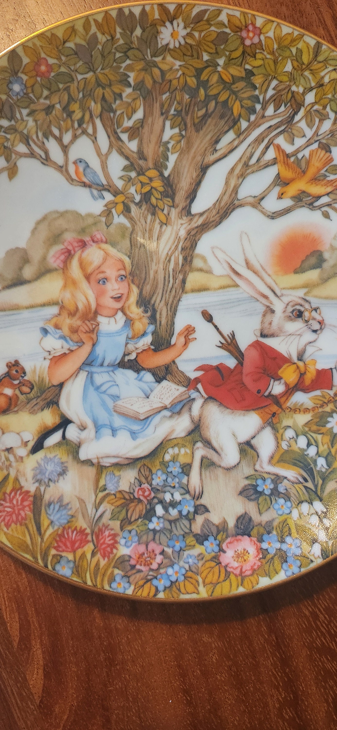 Alice in Wonderland "alice and the White Rabbit Collectible Plate by ...