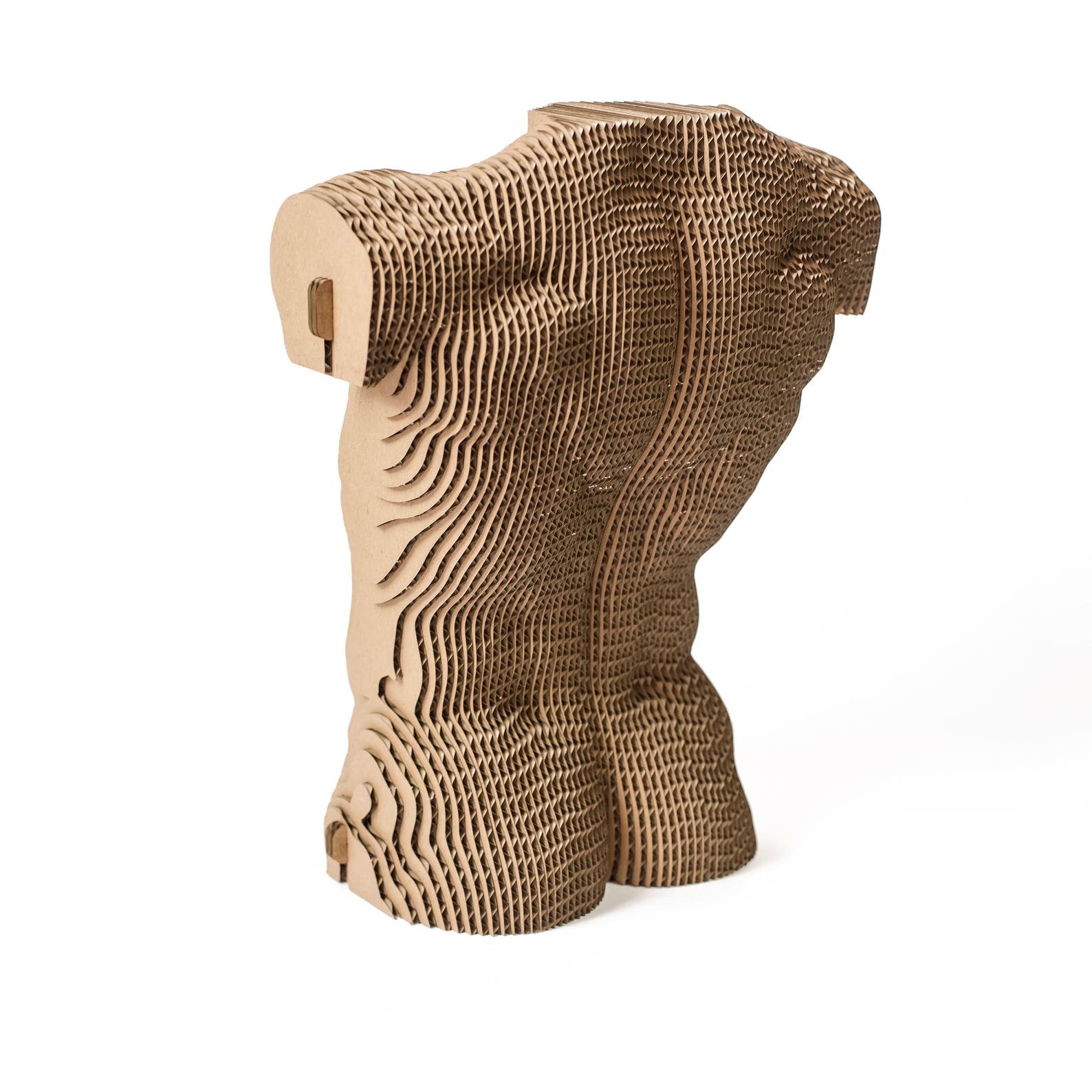 Male Torso for Self Assembly Made of Eco-friendly Cardboard. 3D DIY ...