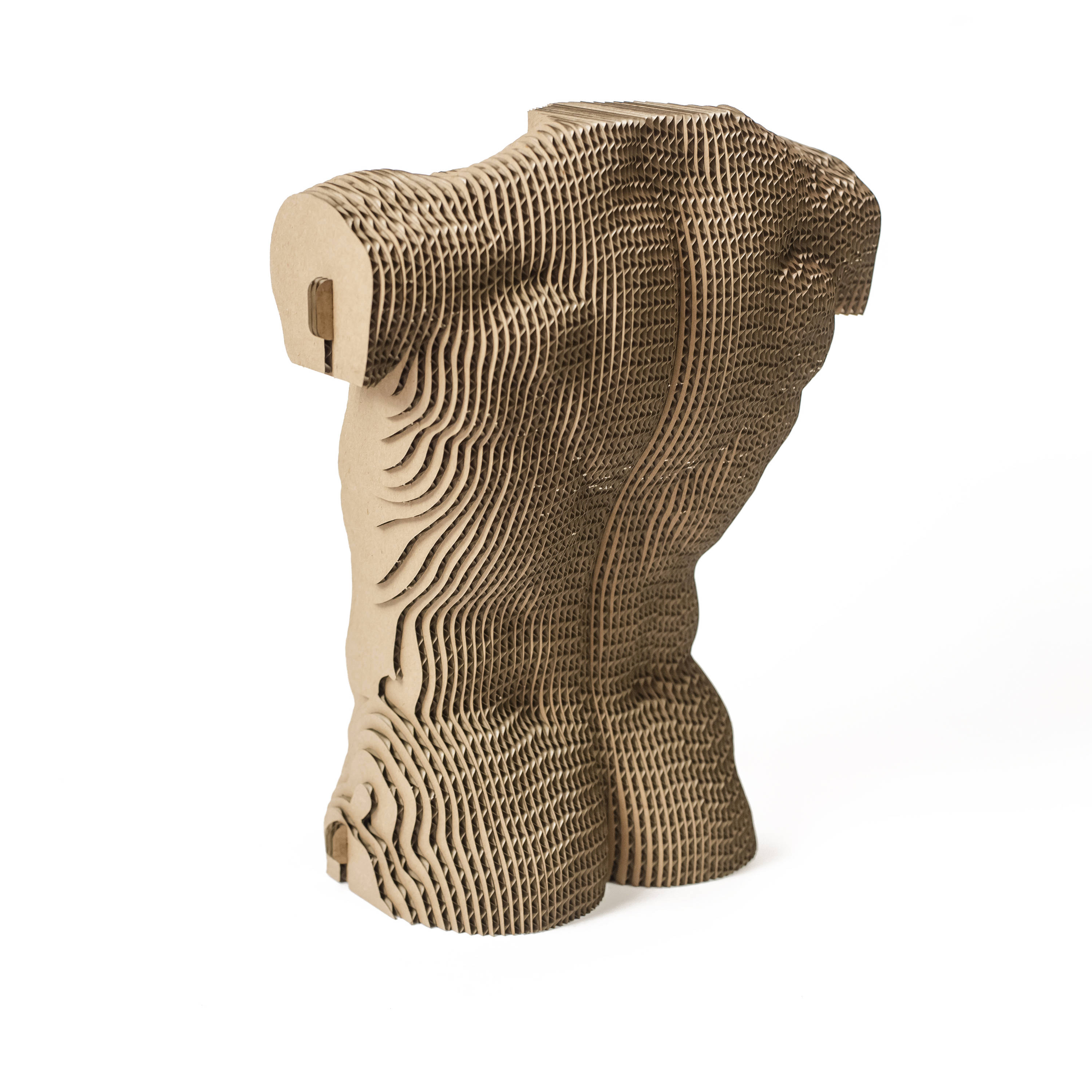 Male Torso for Self Assembly Made of Eco-friendly Cardboard. 3D DIY ...