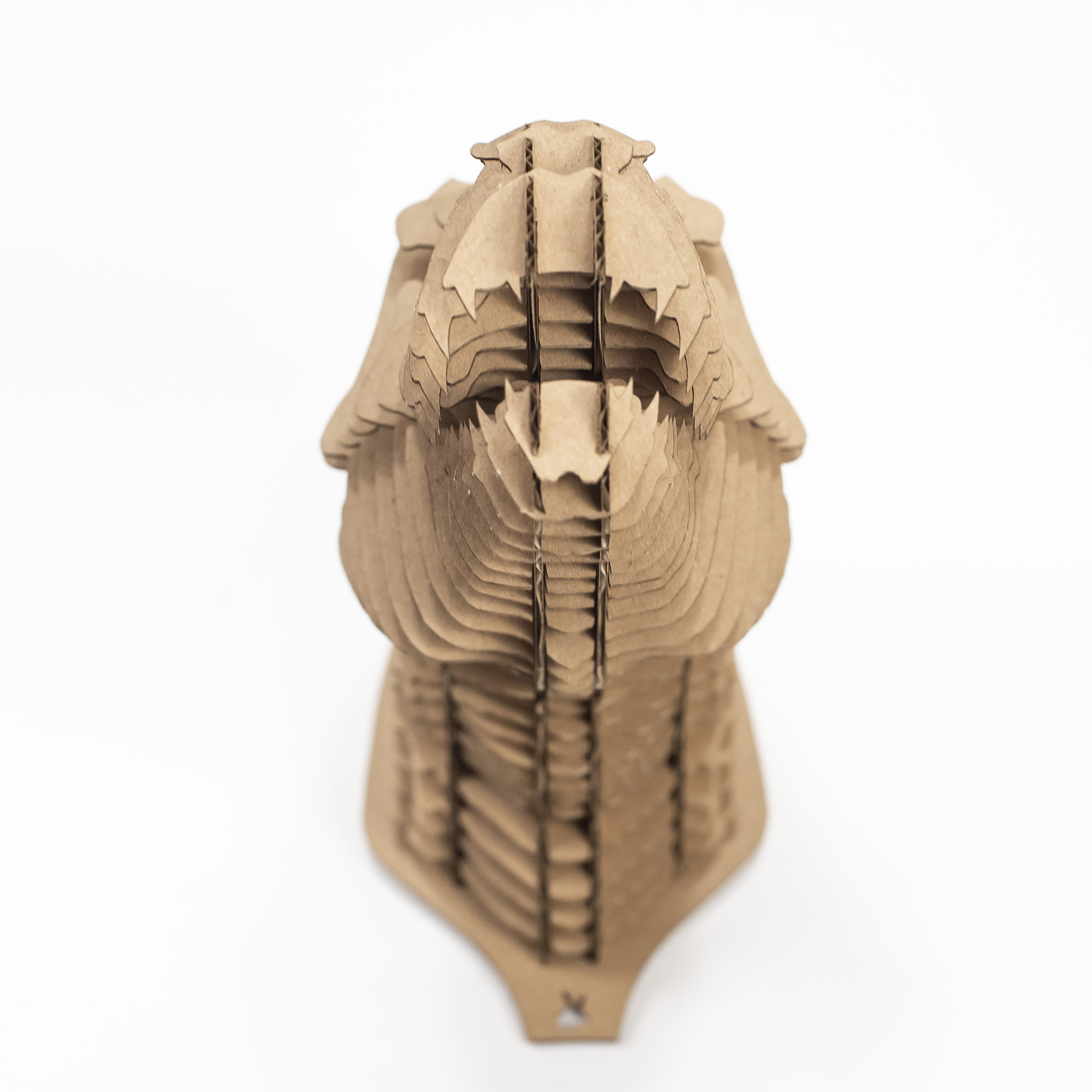 Rex - Tyrannosaurus Trophy. Animal for Self-assembly Made of Ecological ...