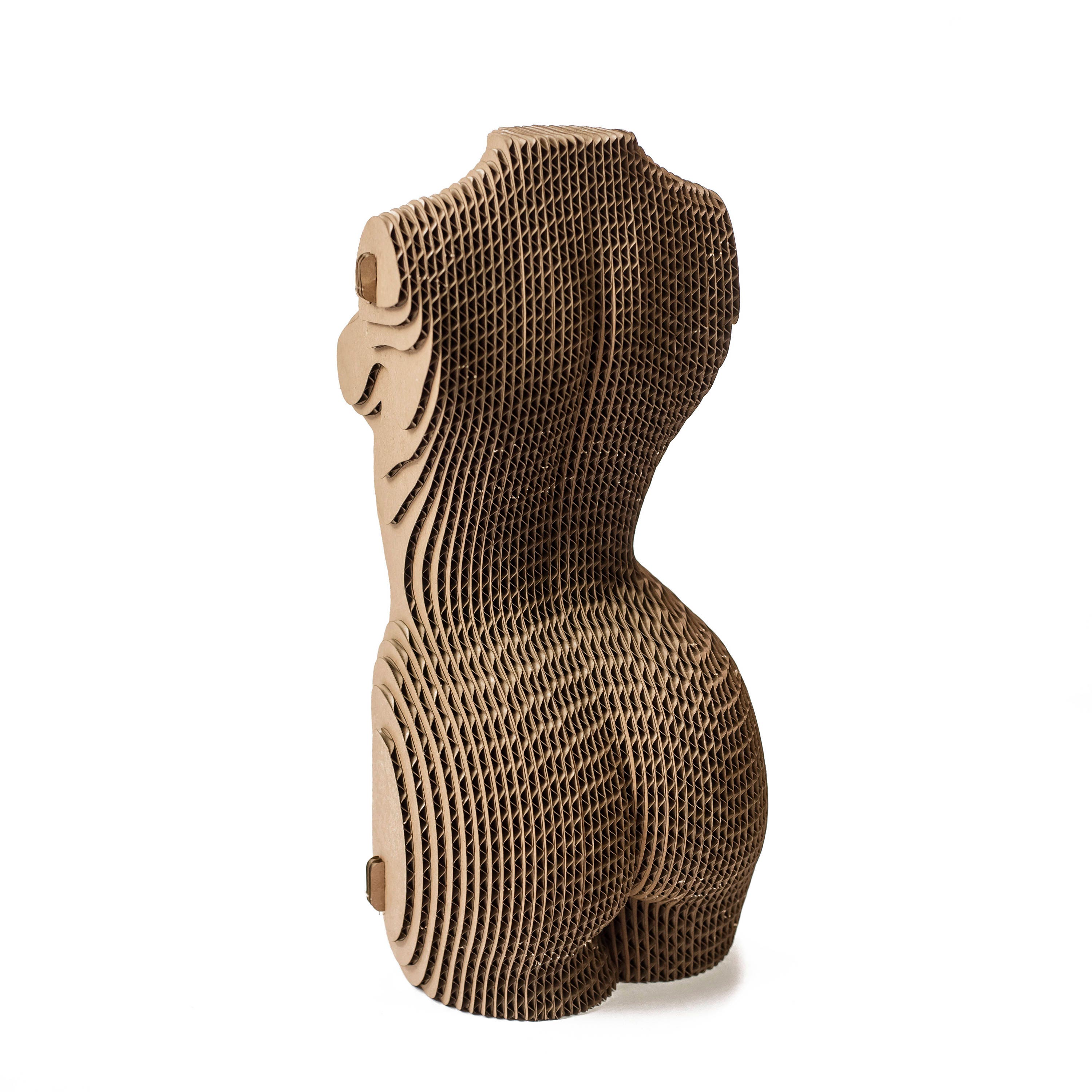 Female Torso for Self Assembly Made of Eco-friendly Cardboard. 3D DIY ...