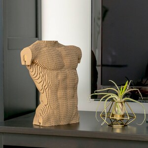 Male Torso for Self Assembly Made of Eco-friendly Cardboard. 3D DIY ...
