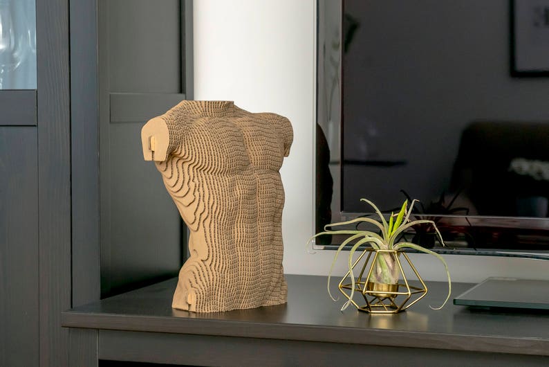 Male Torso for Self Assembly Made of Eco-friendly Cardboard. 3D DIY ...