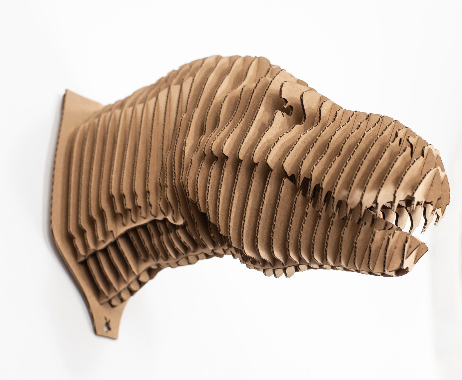 Rex - Tyrannosaurus Trophy. Animal for Self-assembly Made of Ecological ...