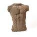 Male Torso for Self Assembly Made of Eco-friendly Cardboard. 3D DIY ...