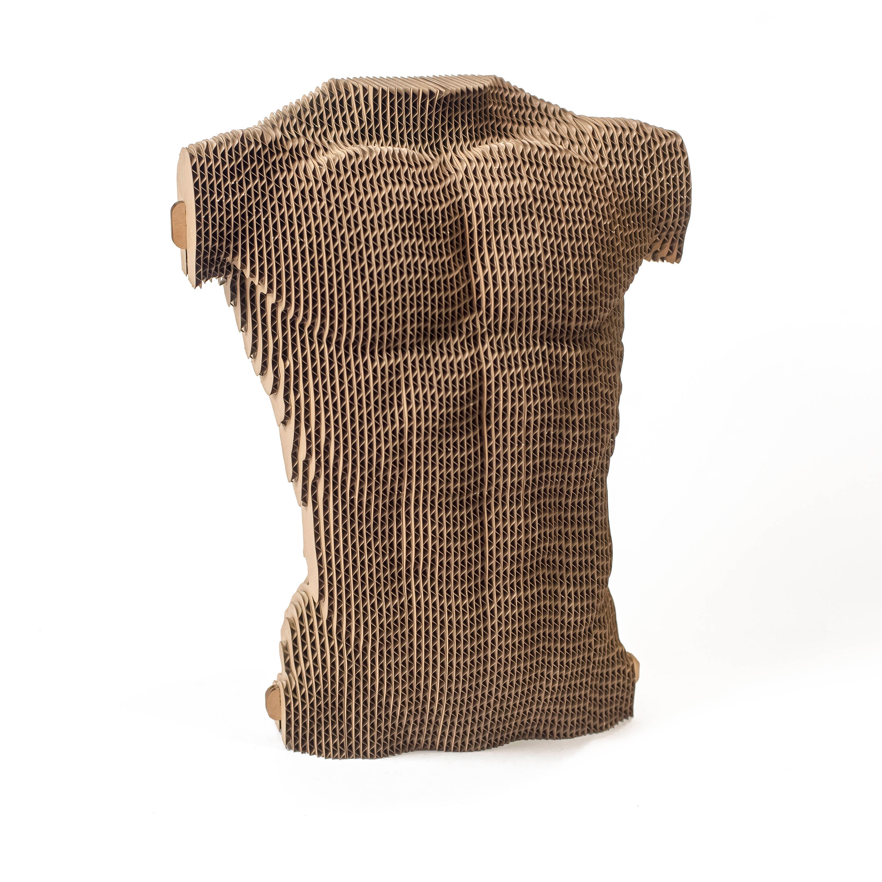 Male Torso for Self Assembly Made of Eco-friendly Cardboard. 3D DIY ...