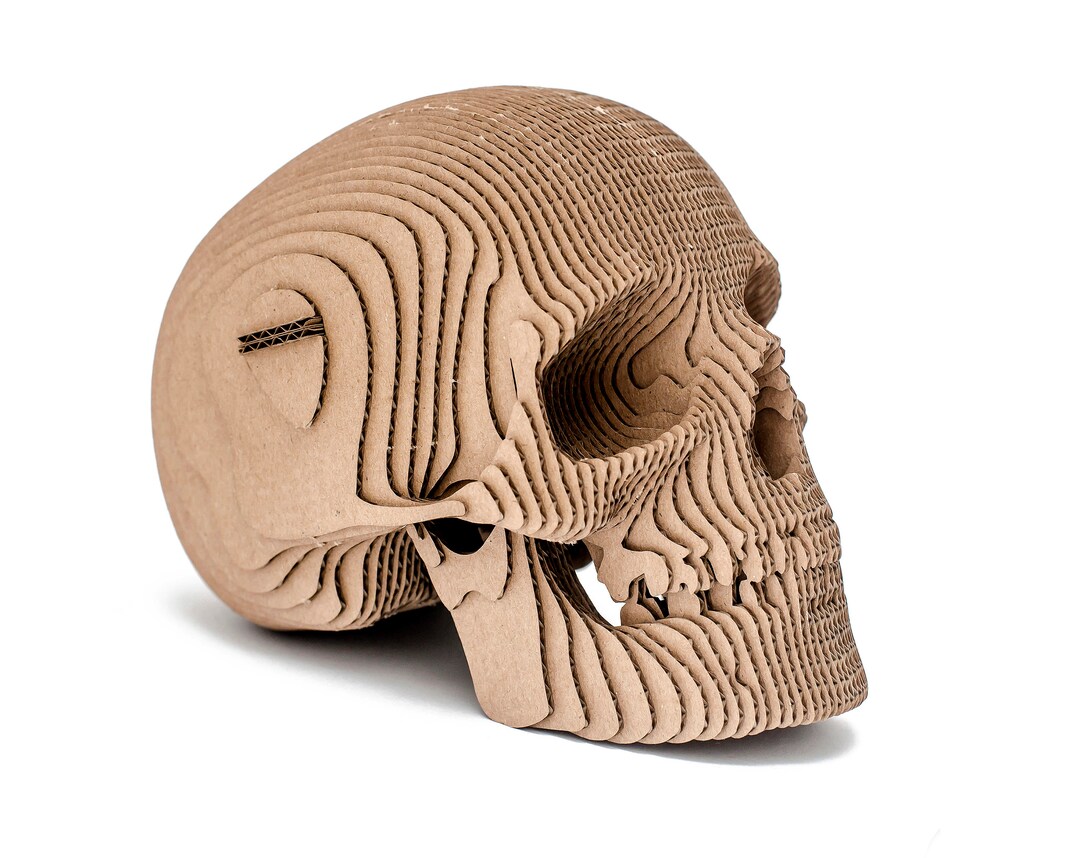 Jack - a Human Skull for Self Assembly Made of Eco-friendly Cardboard ...