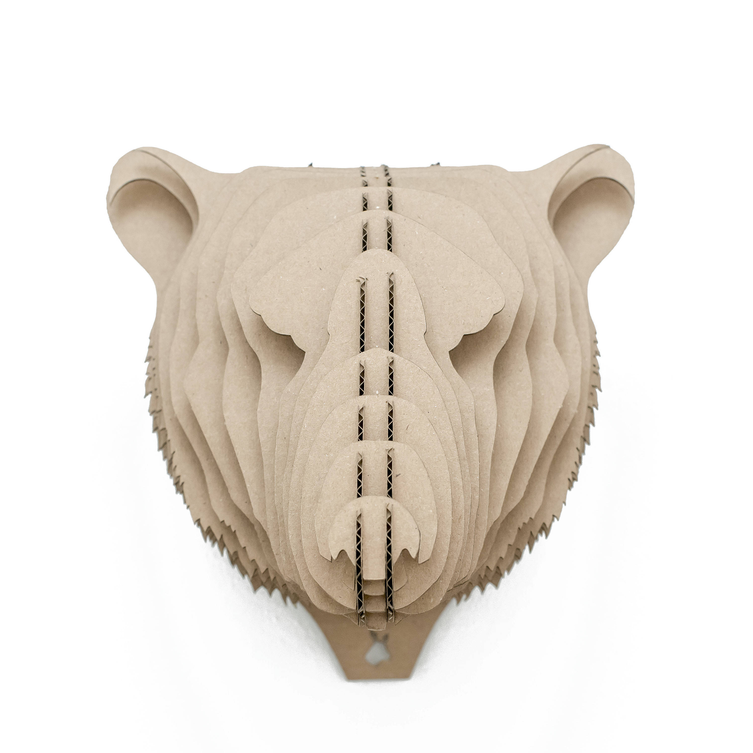 Woytek - Bear Trophy. Animal for Self-assembly Made of Ecological ...