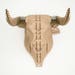 Fernando - Bull Trophy. Animal for Self-assembly Made of Ecological ...