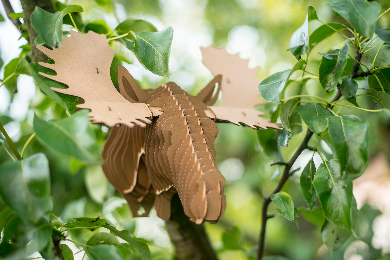 Alfred - Moose Trophy. Animal for Self-assembly Made of Ecological ...