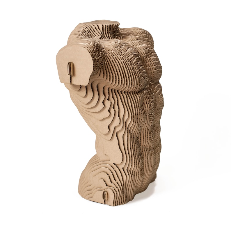 Male Torso for Self Assembly Made of Eco-friendly Cardboard. 3D DIY ...