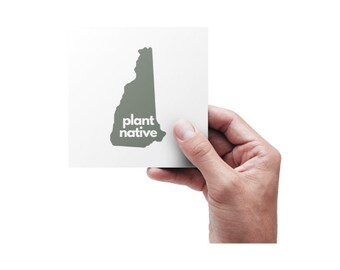 Native Plants Nh - Etsy