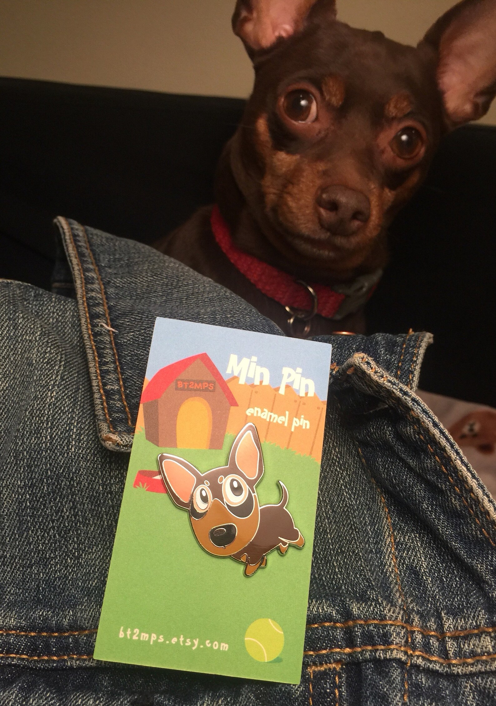 Miniature Pinscher Chocolate Min Pin Dog Hard Enamel Pin - Etsy