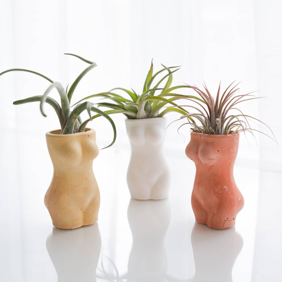Mini Body Vase / Female Body Vase / Curvy Woman Body Planter / - Etsy