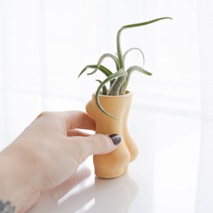 Mini Body Vase / Female Body Vase / Curvy Woman Body Planter / - Etsy
