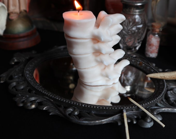 Spine Candle / Human Goth Spine Anatomy Candle - Etsy