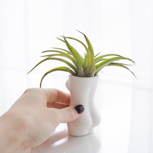 Mini Body Vase / Female Body Vase / Curvy Woman Body Planter / - Etsy