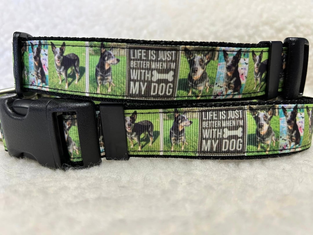 Cattle Dog Handmade Dog Collar 1 Inch Wide Large & Medium - Etsy