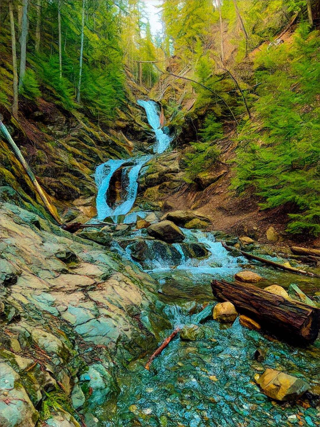 Syphon Creek Falls Salmon Arm - Etsy
