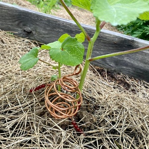 Handmade Pure Copper Garden and Farming Electro Culture Antenna ...