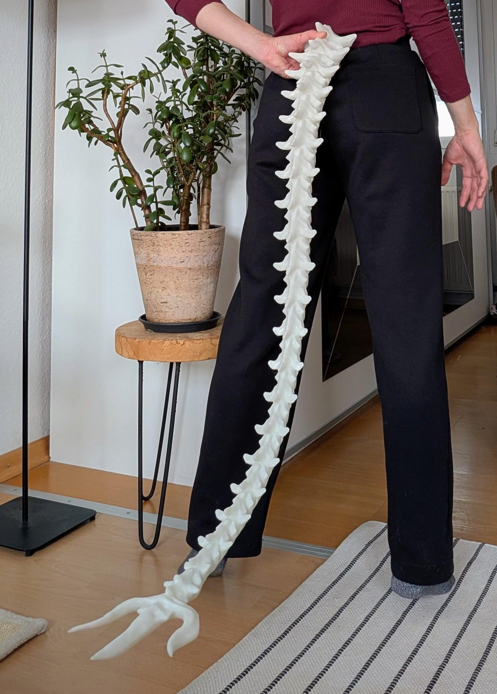 Spine Tail Articulated Digital 3d Print Files - Etsy