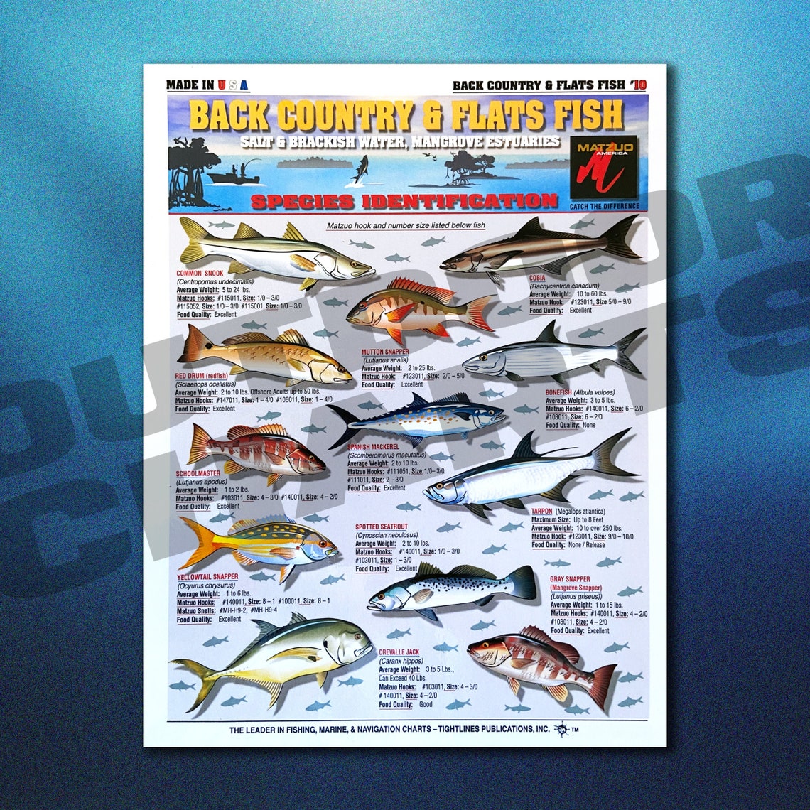Backcountry & Flats Fish Identification Chart 10 salt / Brackish Water ...
