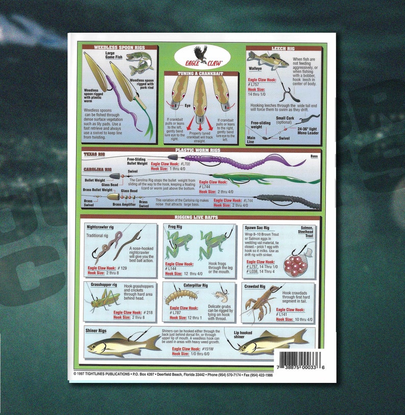 Bait Rigging Freshwater Fish Chart #1 (live Bait Rigs, Bottom Rigs ...