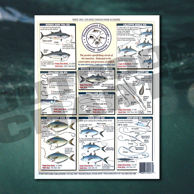Offshore Big Gamefish Bait Rigging Chart 6 circle-hook Rigs - Etsy