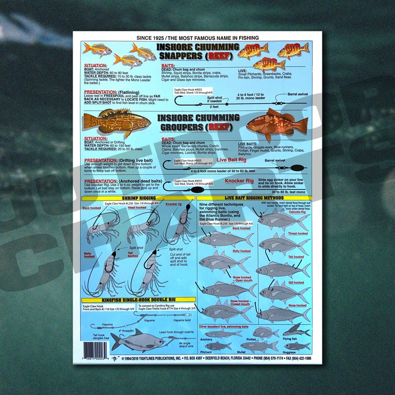 Bait Rigging Chart 1 trolling, Live Baiting, and Bottom Fishing - Etsy