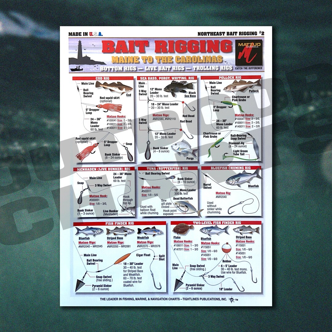 Bait Rigging Chart #2 (maine to the Carolinas) - Etsy