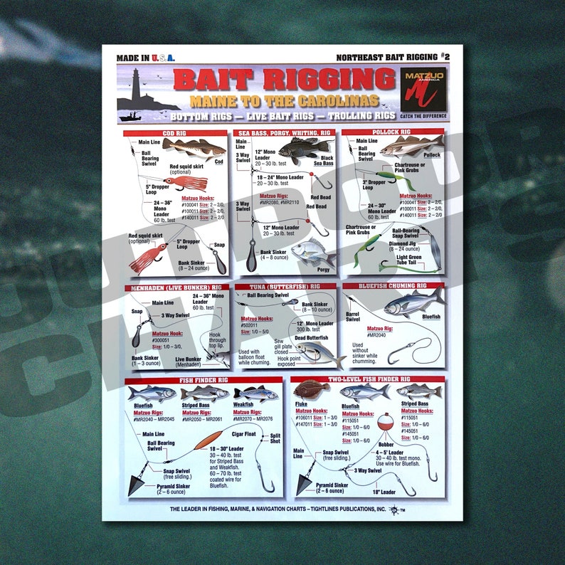 Bait Rigging Chart #2 (maine to the Carolinas) - Etsy