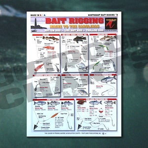 Bait Rigging Freshwater Fish Chart 1 live Bait Rigs, Bottom Rigs ...