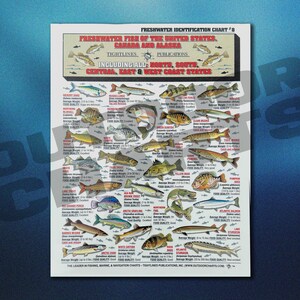 Freshwater Fish of the US, Canada, and Alaska Identification Chart 8 - Etsy