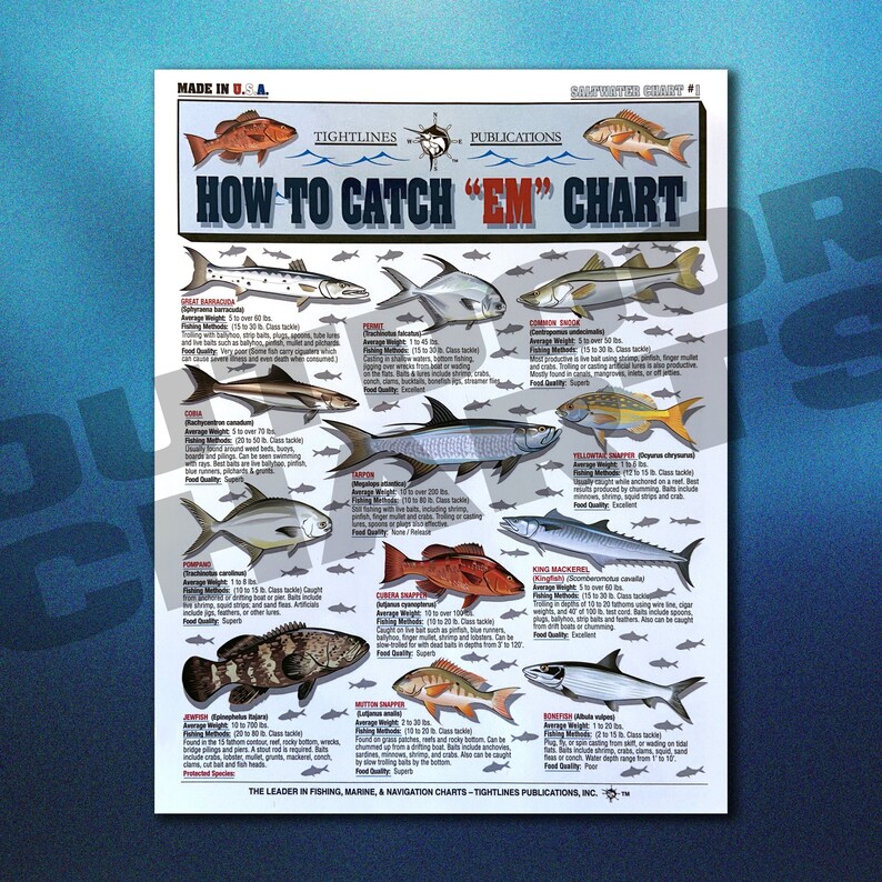 How to Catch 'em Chart 1 saltwater - Etsy